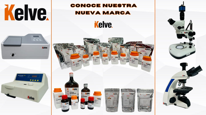 Kelve México